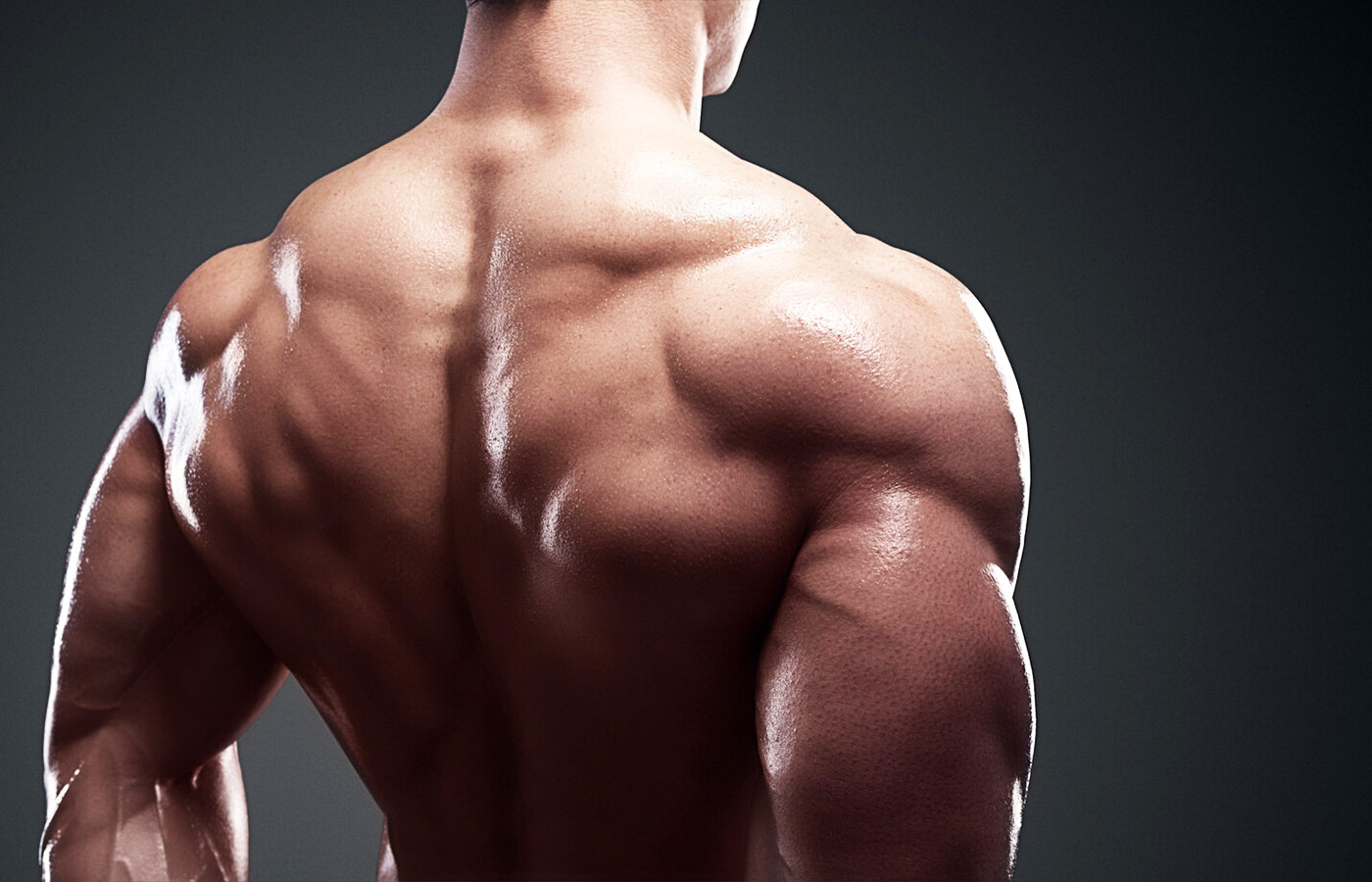 10 exercices pour se muscler le dos : La liste complète